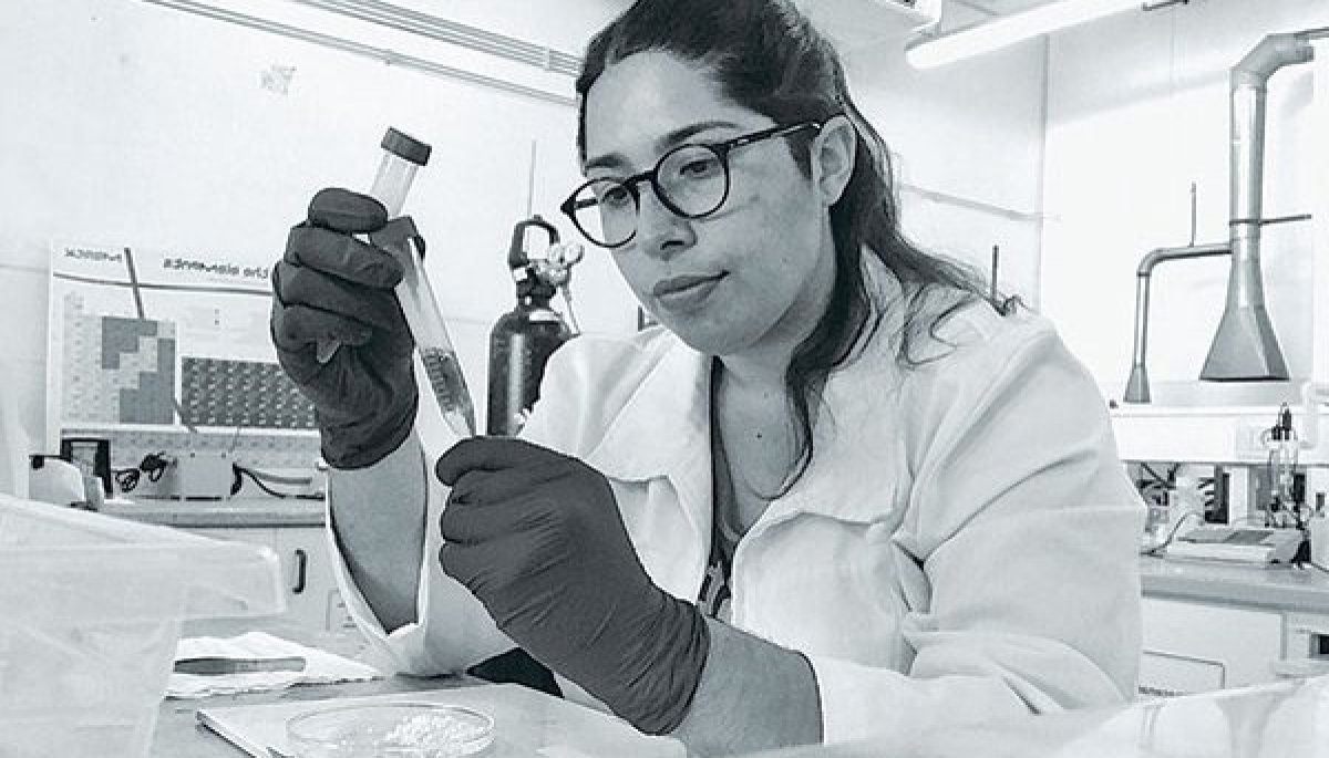 Francisca Aranda, la científica que descubrió un segundo uso del pino ...