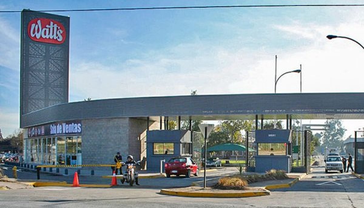 Watt's admite "resultados favorables, pero inferiores a lo esperado" en ...