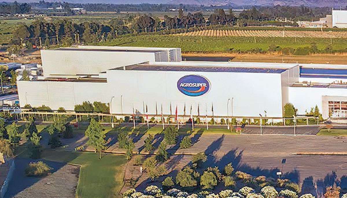 Ganancias de Agrosuper caen el primer semestre | Diario Financiero