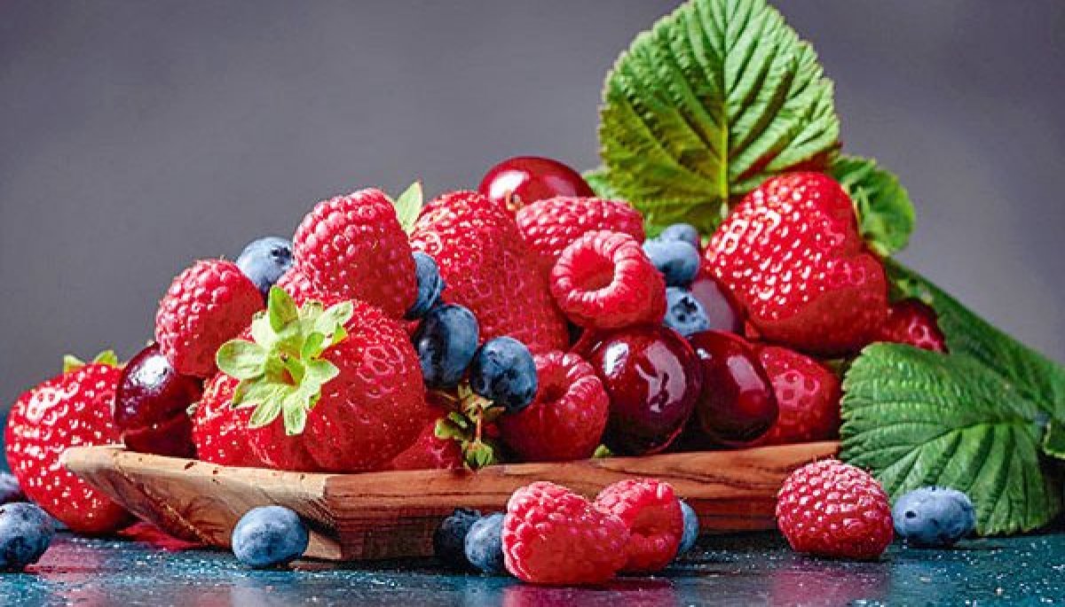 Los motivos que llevaron a Hortifrut a recambiar sus varietales ...