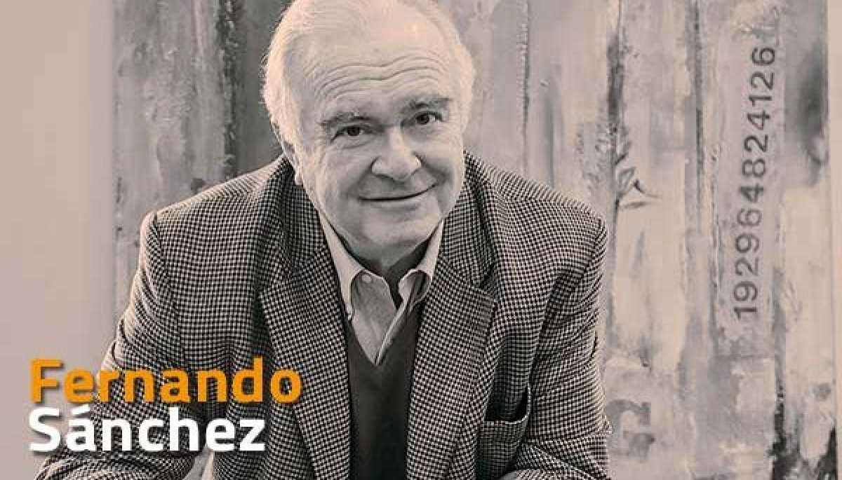 Fernando Sánchez: Foco en las bodegas y la inversión inmobiliaria ...