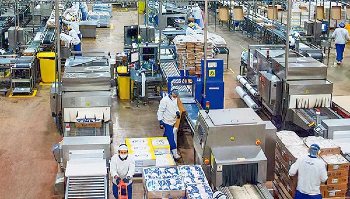 Agrosuper espera que los márgenes confluyan hacia niveles históricos ...