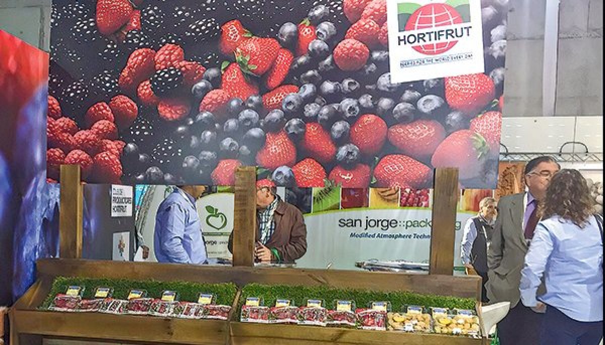 Los inversionistas minoritarios de Hortifrut que decidirán el futuro de ...