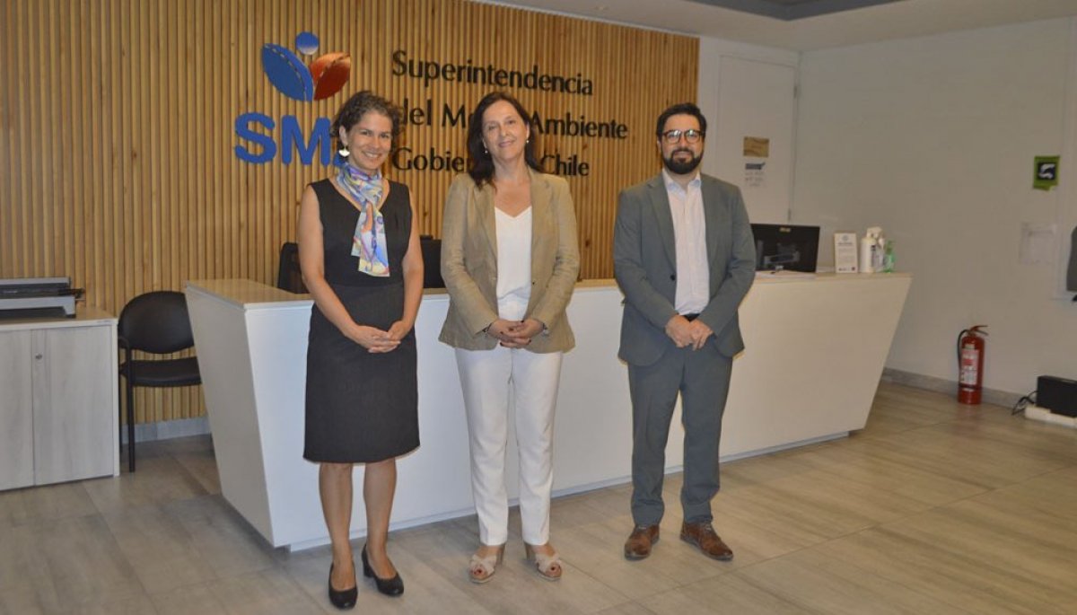 Marie Claude Plumer asume como primera superintendenta del Medio ...