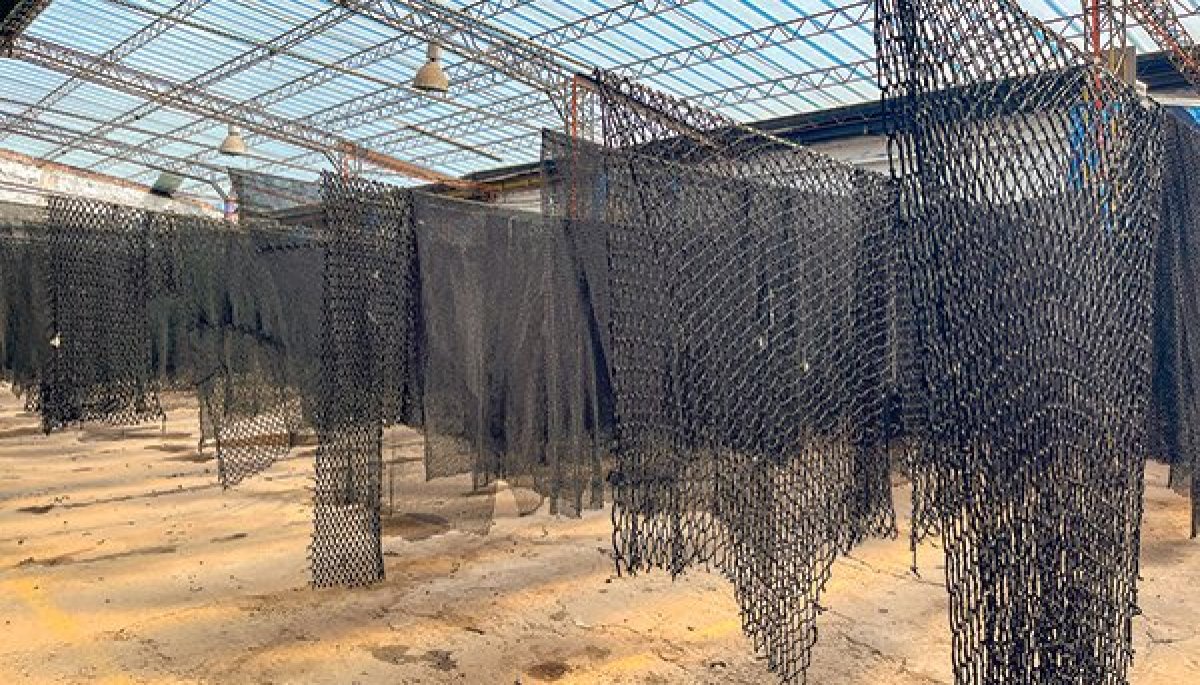 La historia de Bureo, la startup chilena que colabora con Patagonia ...