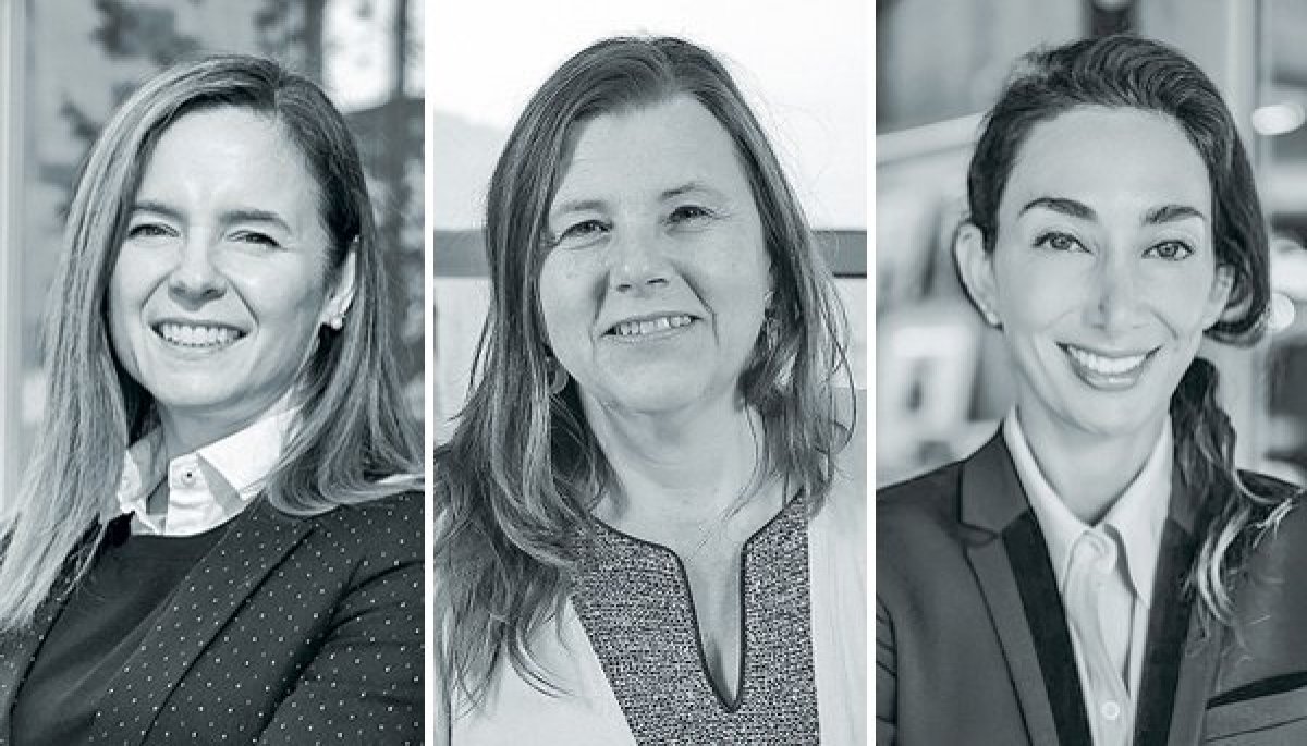 Horas de definiciones: las mujeres que irrumpen como candidatas al consejo de la Sofofa | Diario ...