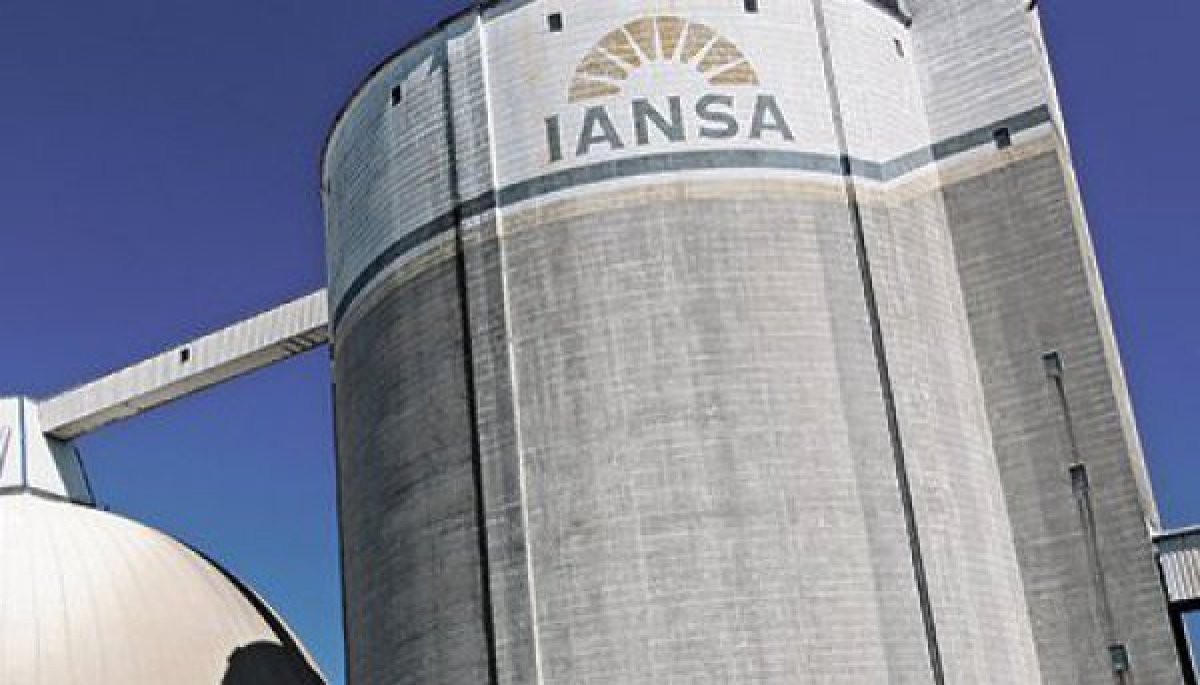 Iansa celebró su regreso a las utilidades después de años de pérdidas ...