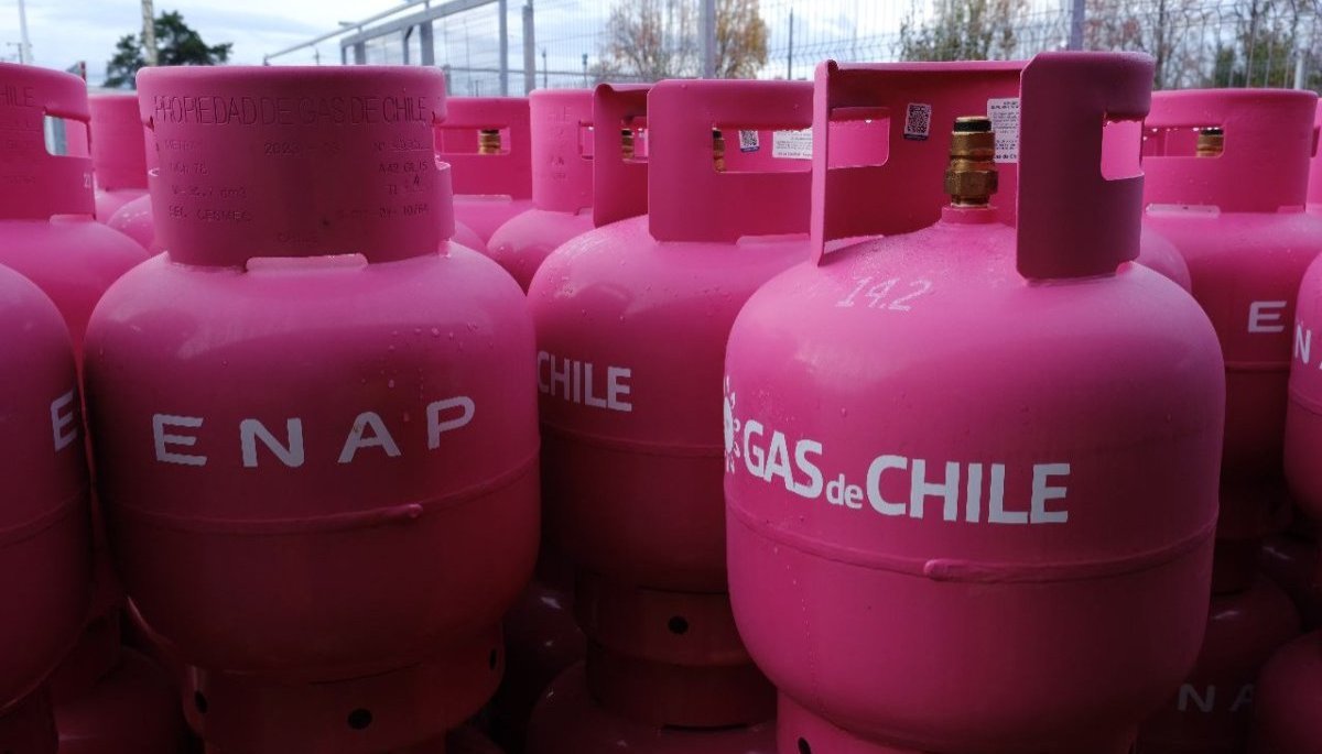 Molestia transversal en la Cámara por bochornoso piloto del gas de Enap | Diario Financiero