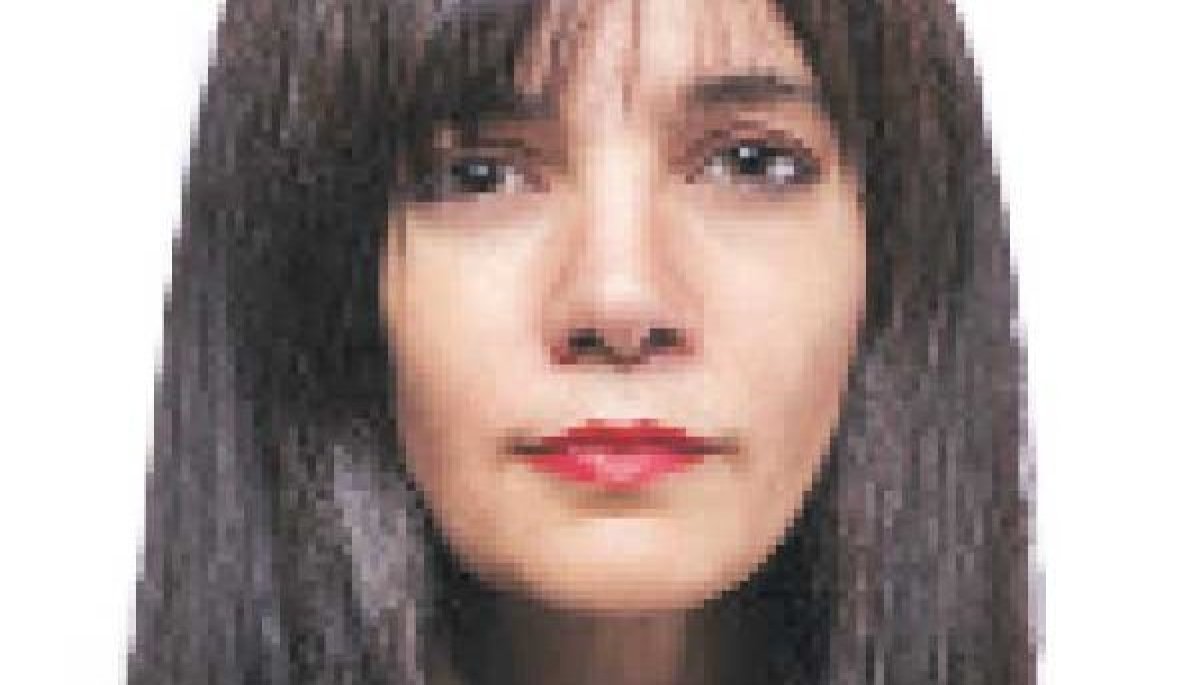 AFP inspirada en las DeFi | Diario Financiero