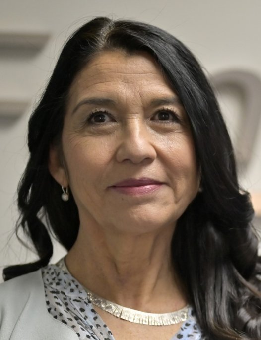 Respuesta en Salud: sin ideologismos | Diario Financiero