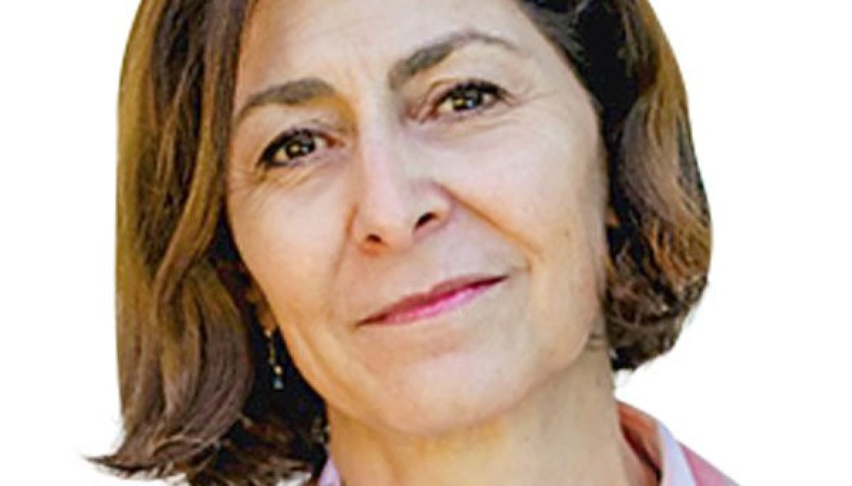 Opacidad fiscal | Diario Financiero