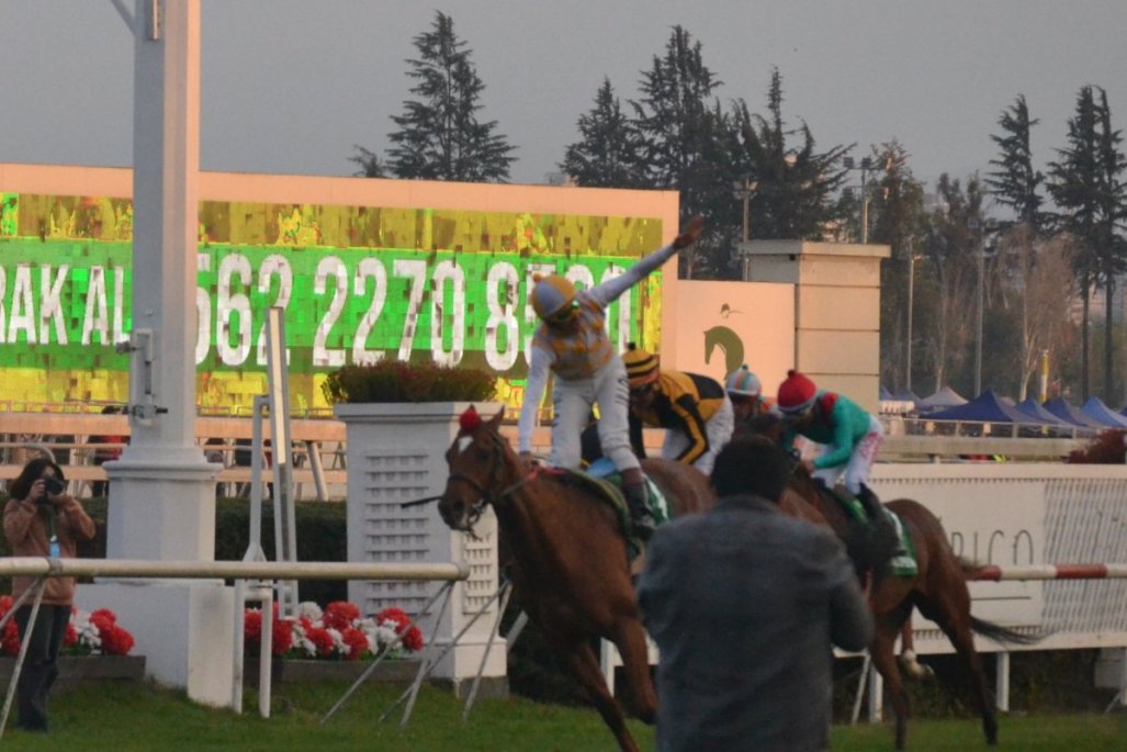 Kay Army, el caballo estrella de los Hurtado Vicuña | Diario Financiero