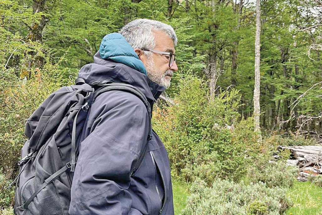 Reinaldo Lippi y el debut de su marca Ofki | Diario Financiero