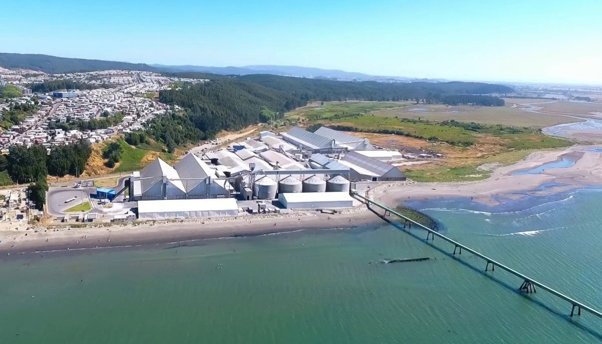 Fondos de Capital Advisors adquieren Muelles de Penco a familias ...