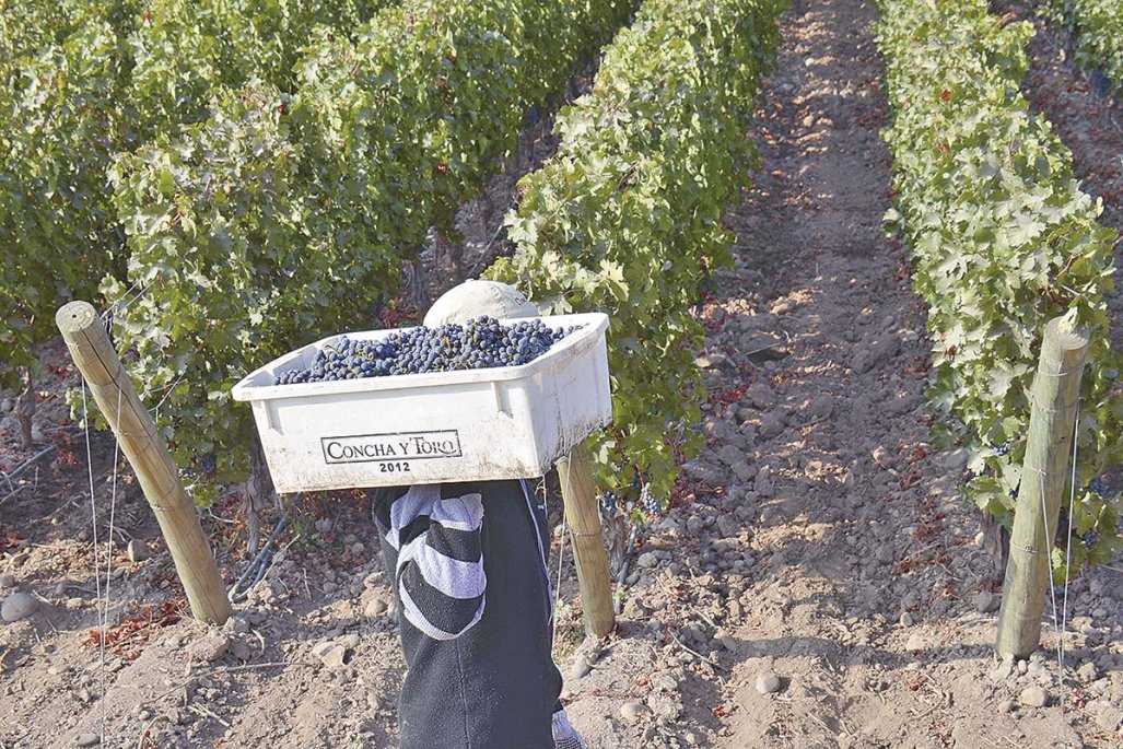 Concha y Toro acelera su expansión en Europa y pone foco en crecer en ...
